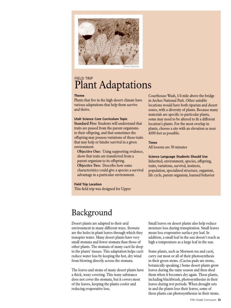 Fifthgrade - Plantadaptations Exu | PDF | Leaf | Desert