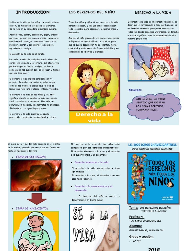 Triptico-Derecho A La Vida | Vida | Dignidad