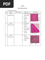 Laporan Praktikum Histologi Jaringan Dasar, Jaringan Epitel Dan Jaringan Ikat | PDF | Sains ...