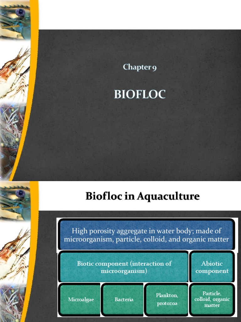 Biofloc Technology in Aquaculture | PDF | Organic Matter | Microorganism