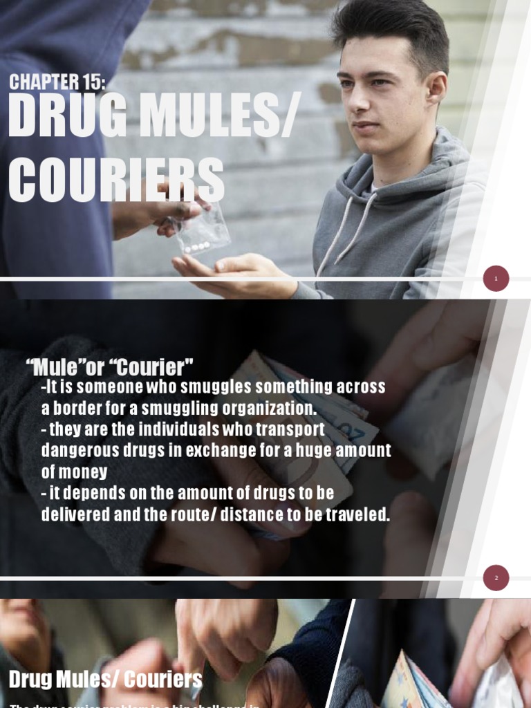Drug Mule | PDF | Illegal Drug Trade | Philippines