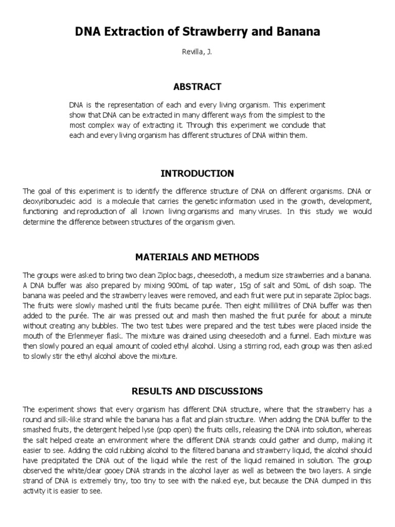 DNA Extraction of Strawberry and Banana | PDF | Dna | Organisms