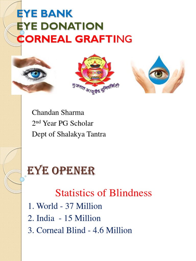 Eye Donation: Corneal Grafting | PDF | Cornea | Organ Donation