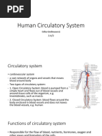 Pulmonary and Systemic Circulation | PDF