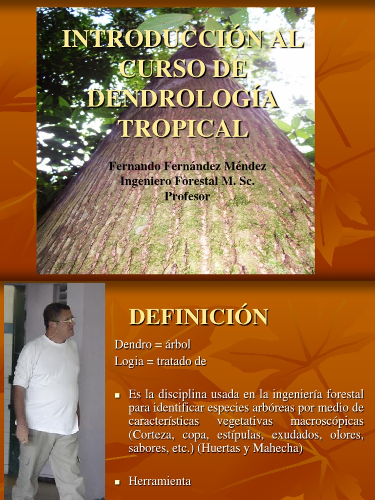 Introducción a la dendrología tropical: identificación de especies ...