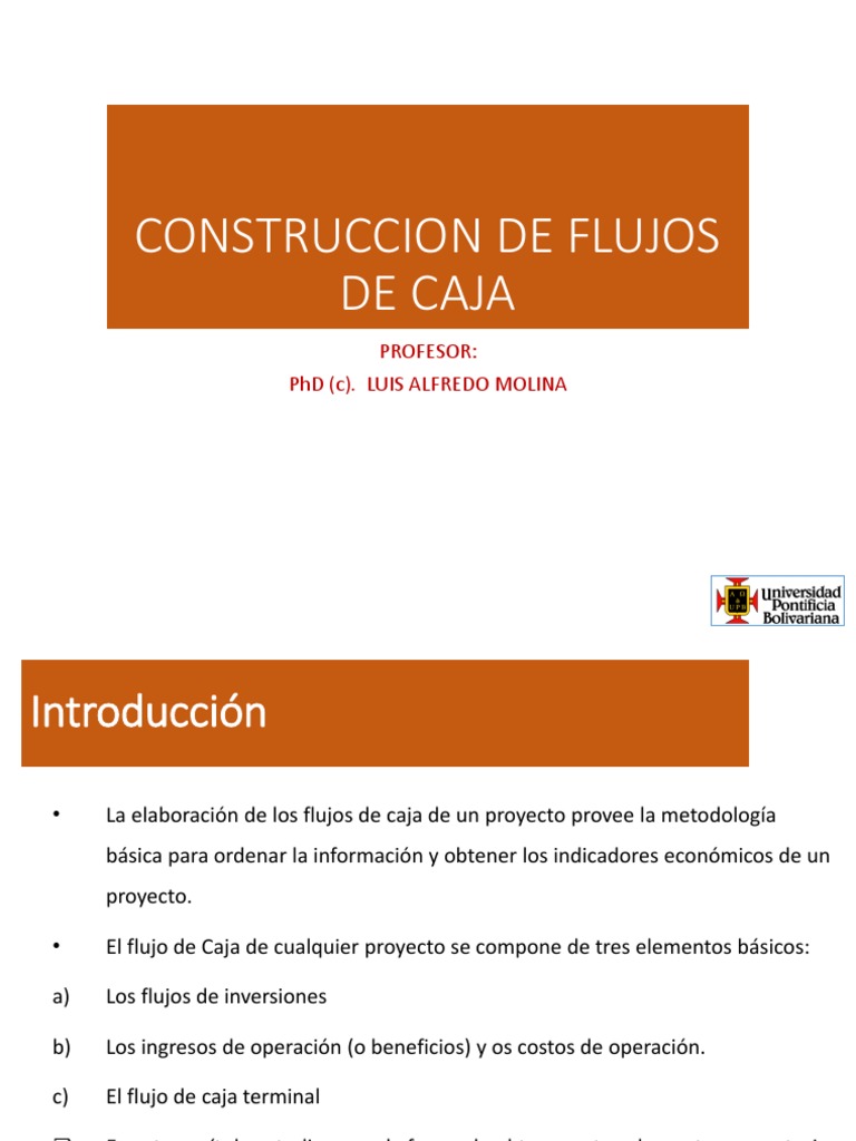 Guía de Flujos de Caja para Proyectos | PDF | Depreciación | Amortización (Negocio)