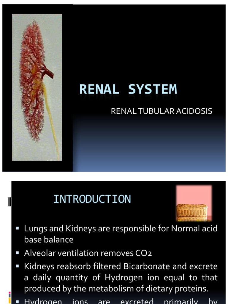 Overview of Renal Tubular Acidosis | PDF | Urinary System | Endocrine ...