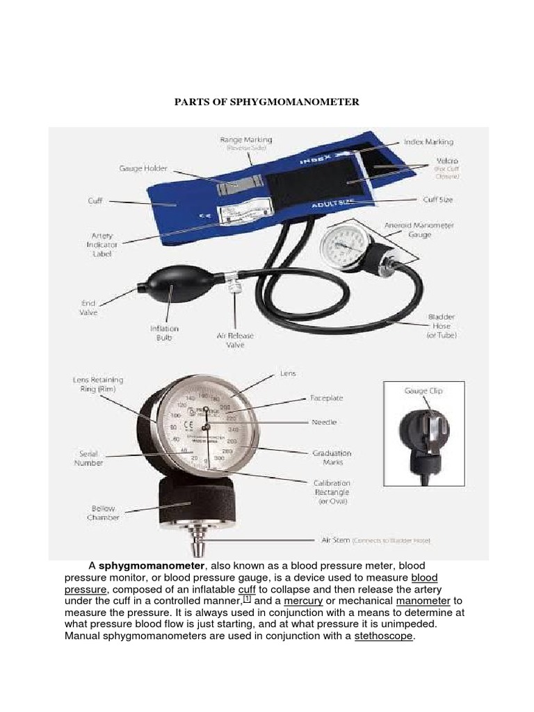 Sphygmomanometer and Stethoscope Parts | PDF | Equipment | Nature
