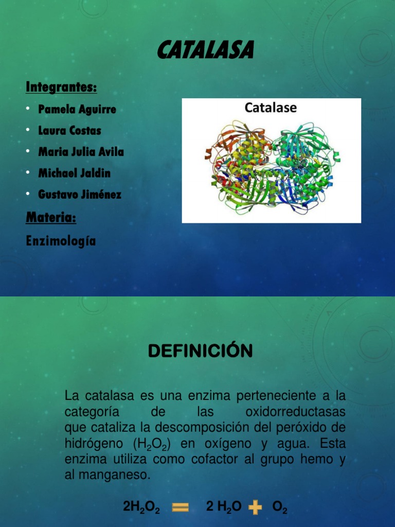 CATALASA | PDF | Catalasa | Enzima