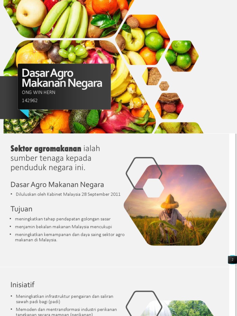 Dasar Agro Makanan Negara | PDF