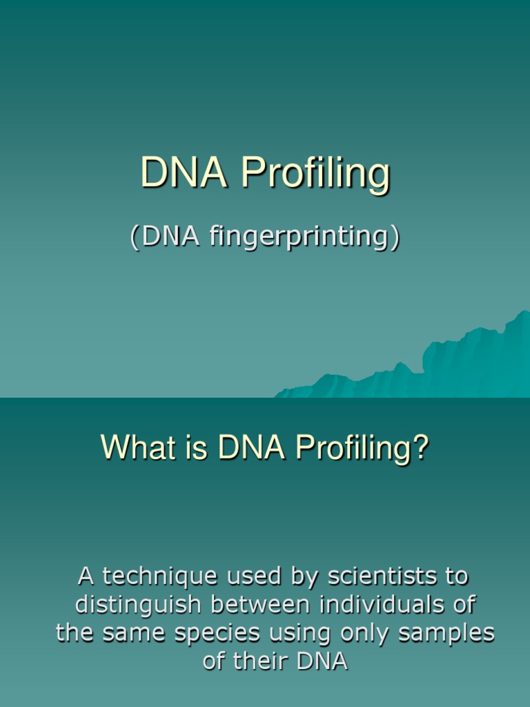 DNA Fingerprinting Powerpoint | PDF | Dna Profiling | Gel Electrophoresis