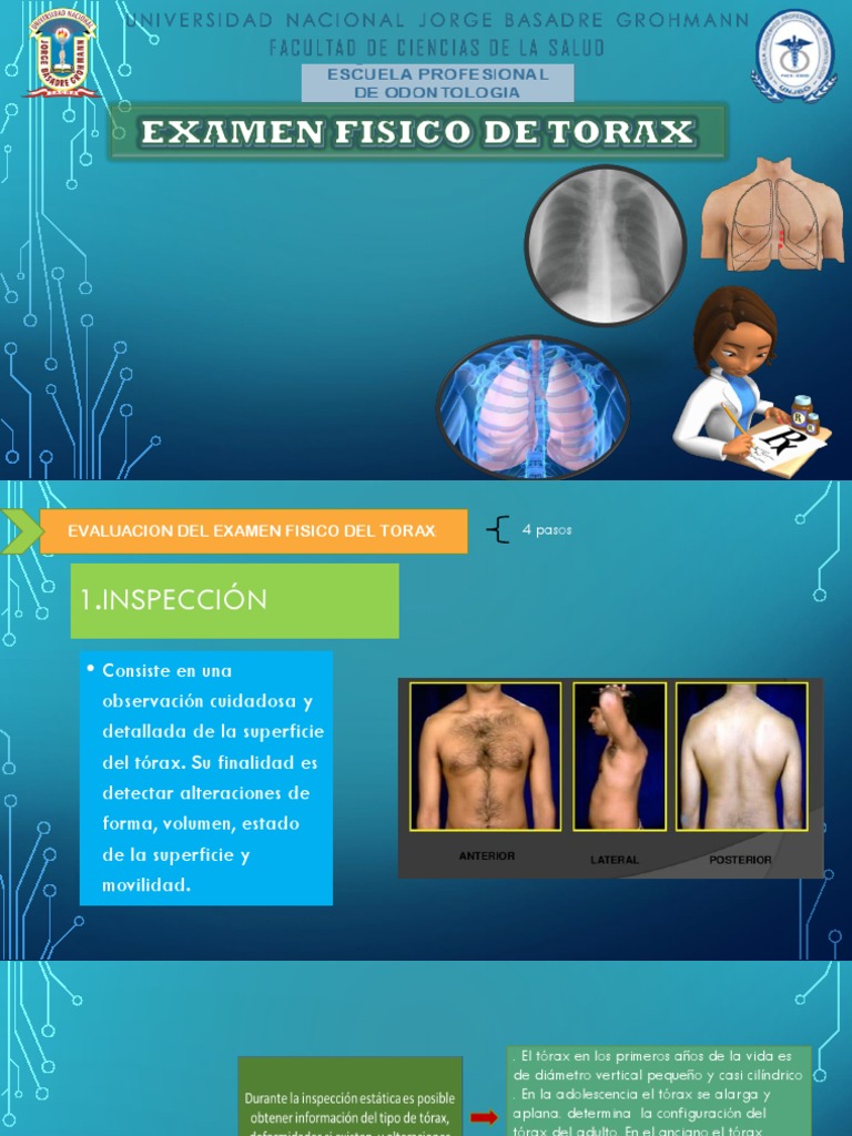 Examen Fisico Del Torax | Descargar gratis PDF | Pulmón | Medicina