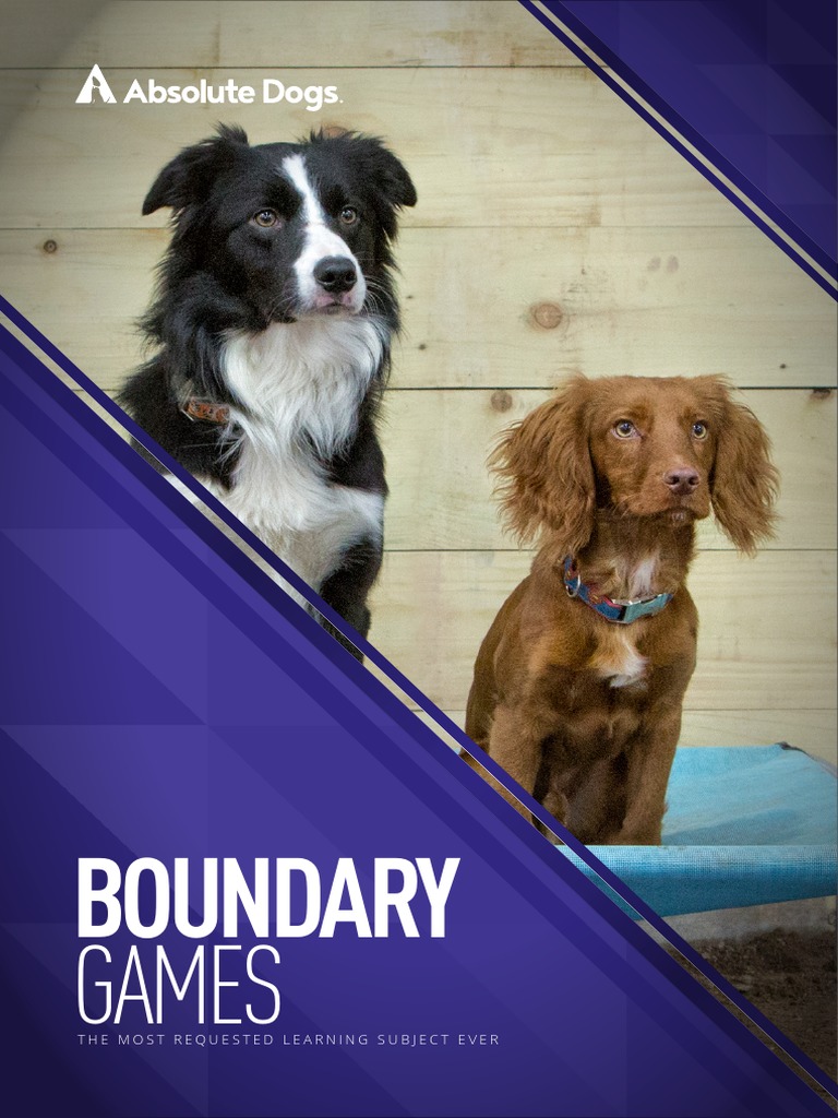 Learn How to Play Engaging Boundary Games with Your Dog | PDF ...
