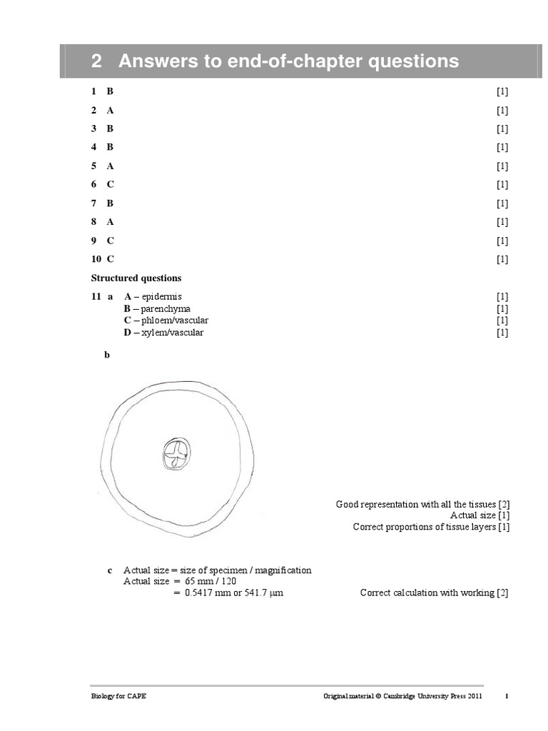 Chapter 2 Answers PDF | PDF | Tissue (Biology) | Cell (Biology)