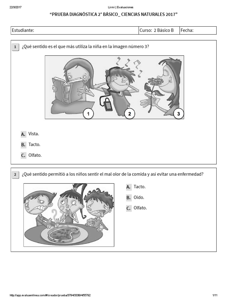 Prueba diagnóstica de Ciencias Naturales para segundo básico | PDF ...