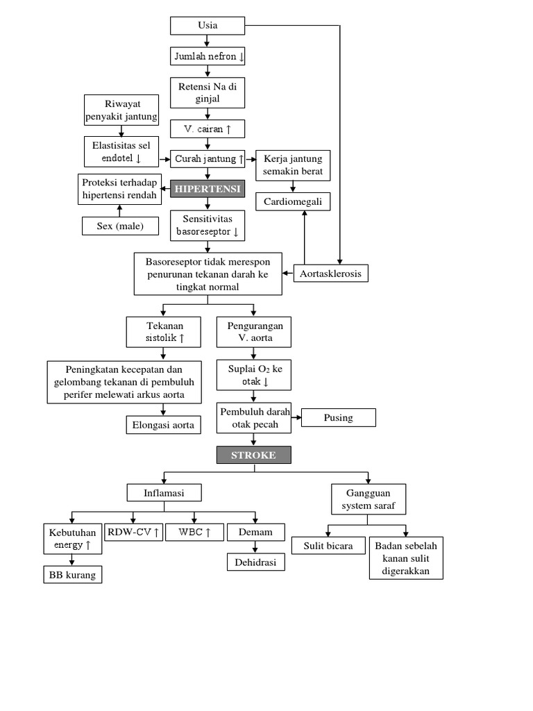 Bagan Patofisiologi Stroke Hemoragik | PDF