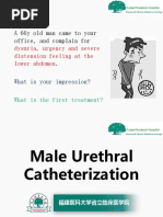 Urology Medical Terminology Guide | PDF | Urinary System | Kidney