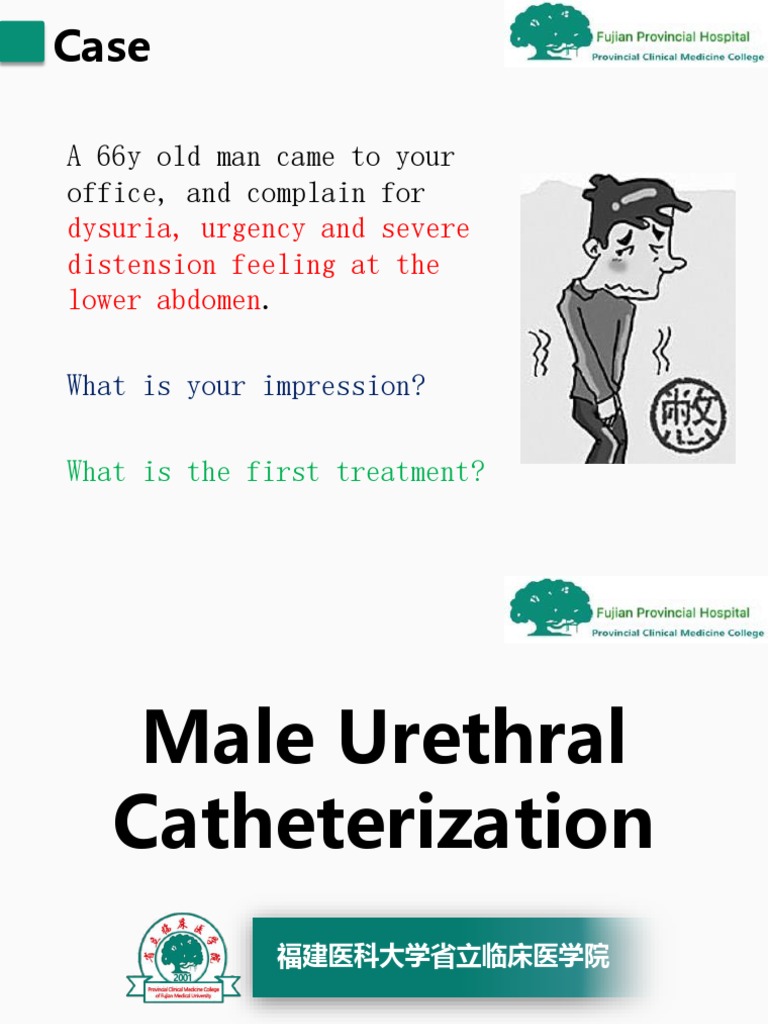Male Urethral Catheterization | PDF | Catheter | Genitourinary System