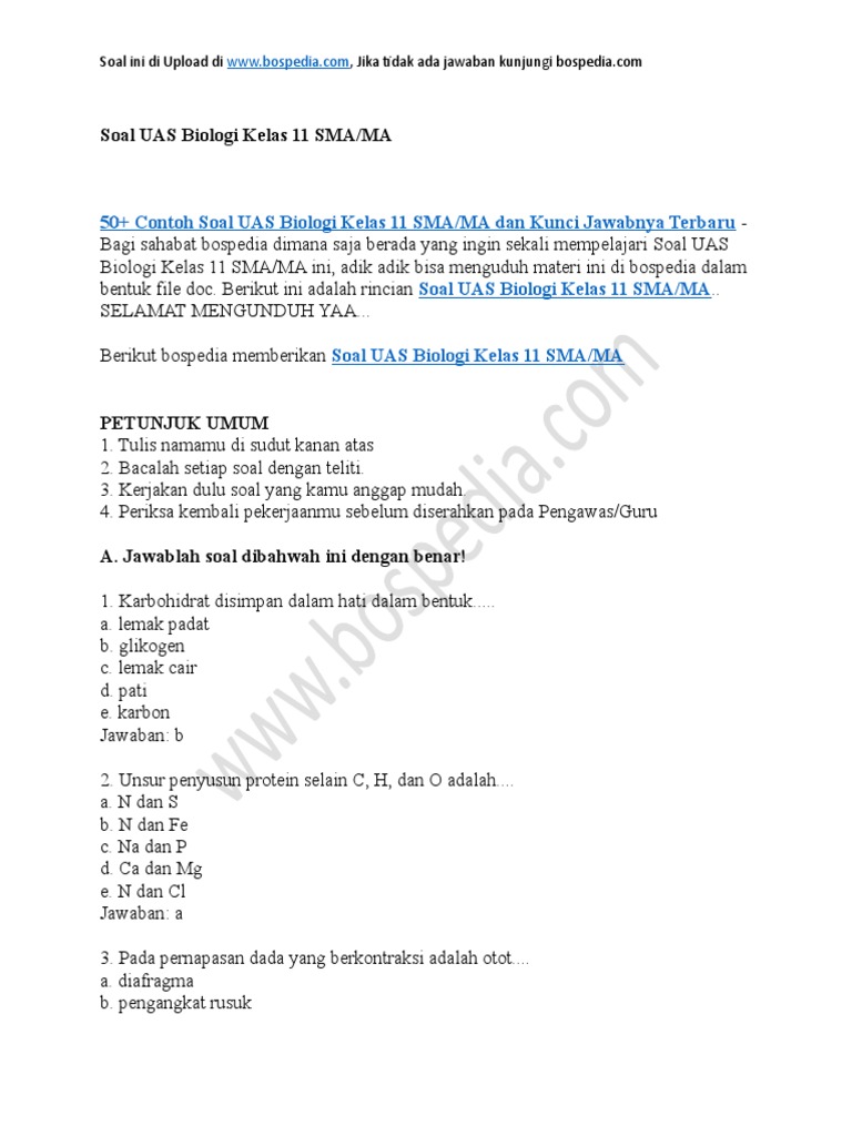 50+ Contoh Soal UAS Biologi Kelas 11 SMA MA Dan Kunci Jawabnya | PDF | Kajian Bahasa Asing ...