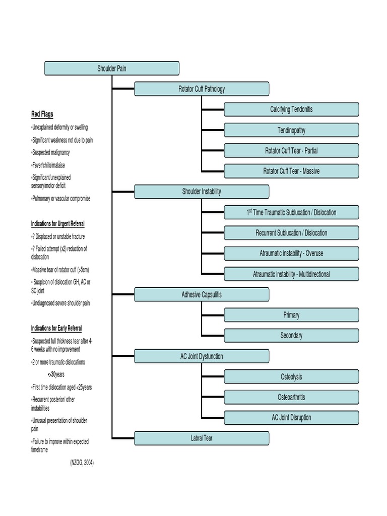Red Flags: Indications For Urgent Referral | PDF | Diseases And ...