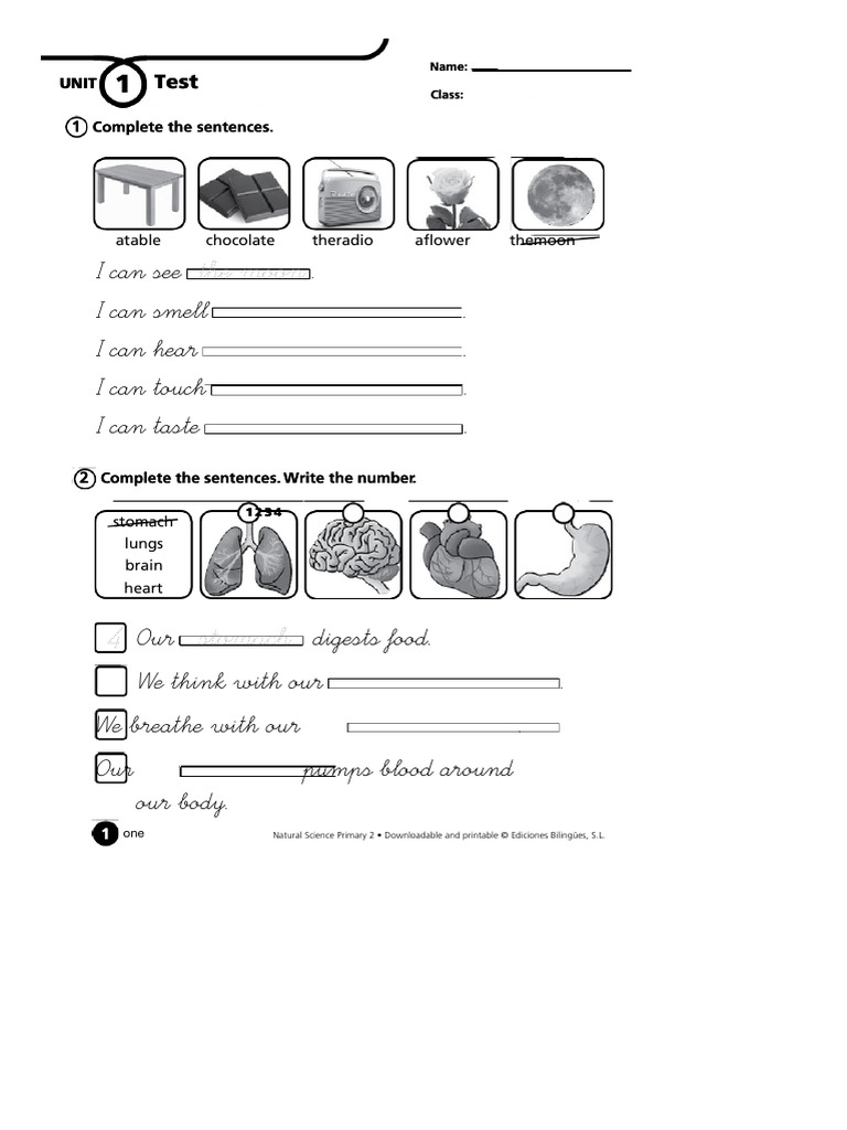 Diagnostic Test Natual Science 2º Primary Byme | PDF | Arm | Hip