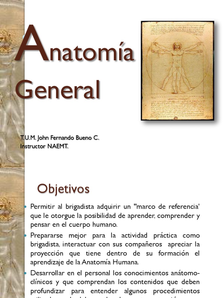 Anatomía General, Introducción A La Anatomia - pdf-1 | PDF | Anatomía ...