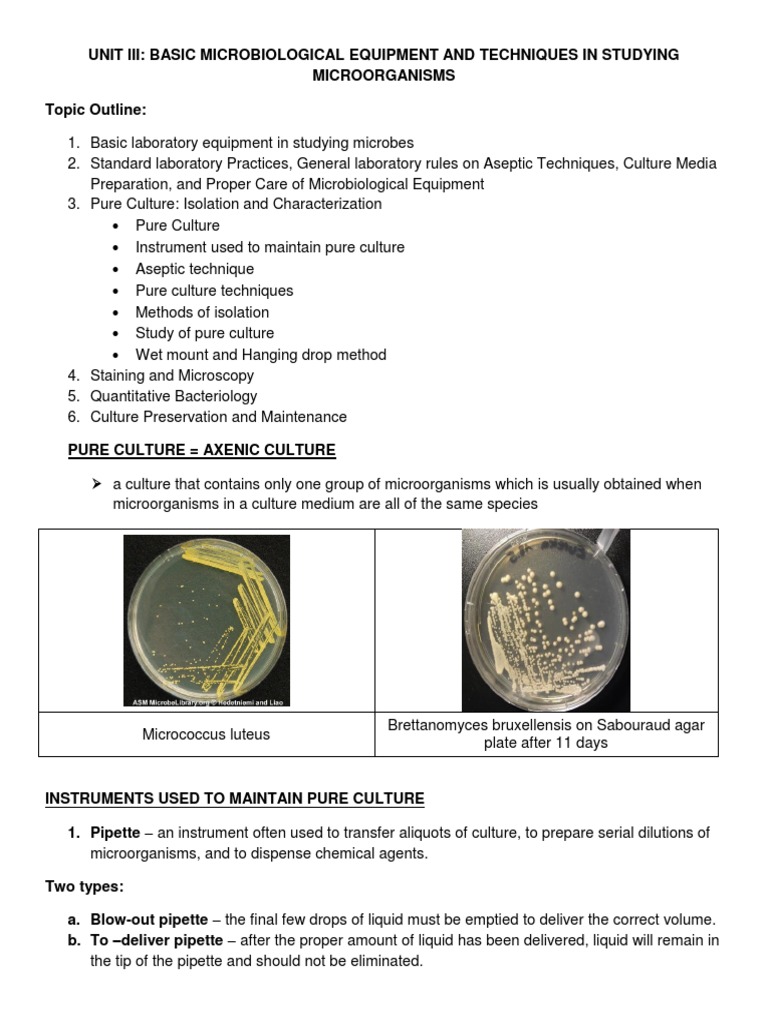 UNIT III A in Microbiology and Parasitology | PDF | Staining | Gram ...