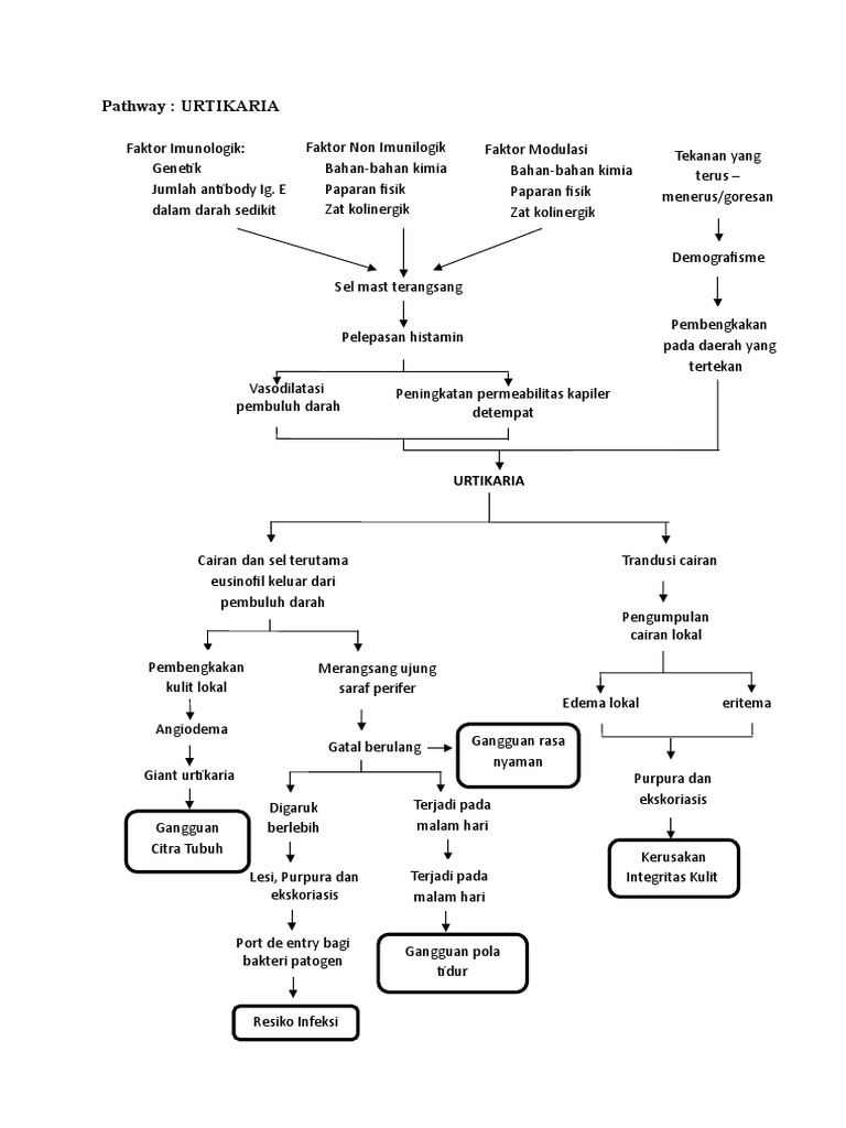 Pathway Urtikaria | PDF