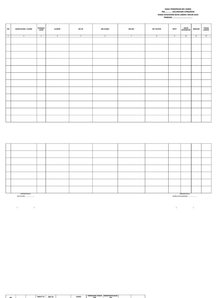 Form Pendataan Ibu Hamil New | PDF