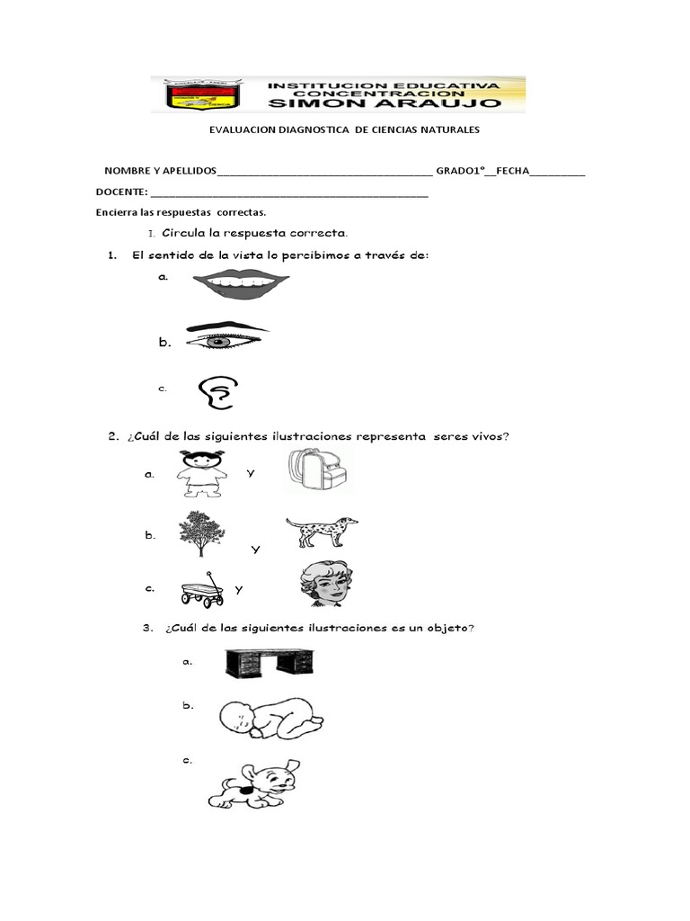 Evaluacion Diagnostica 1° Naturale Grado Primero | PDF