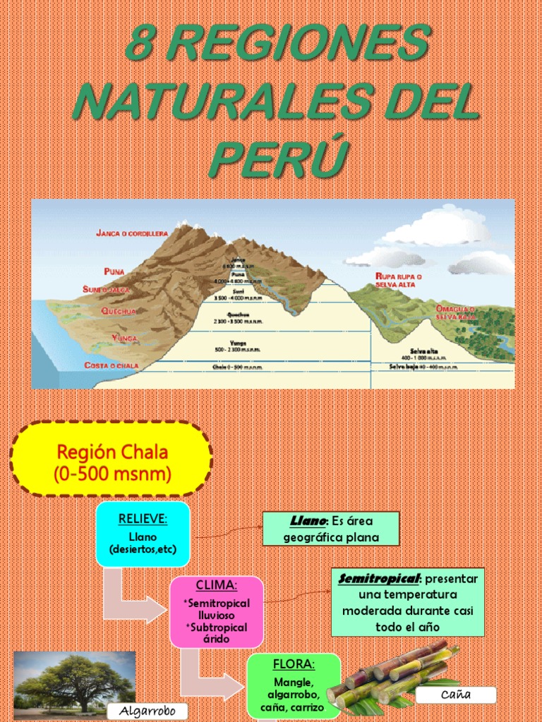 8 Regiones Naturales del Perú | PDF | Perú | Geografía Física