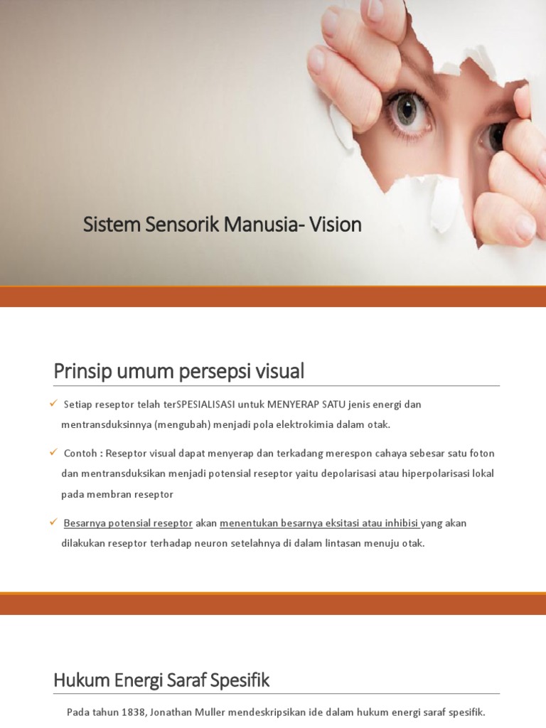 Sistem Sensorik Manusia | PDF | Pengembangan Diri | Sains & Matematika