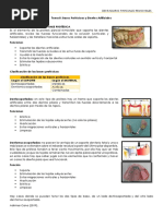 Principios PPR Apoyos, Retenedor Directo e Indirecto | PDF | Dentadura ...