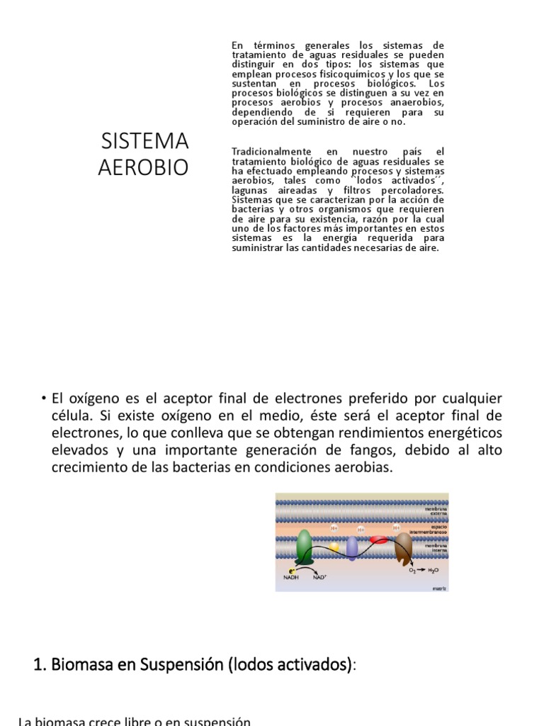 Sistema Aerobio | PDF | Aguas residuales | Residuos