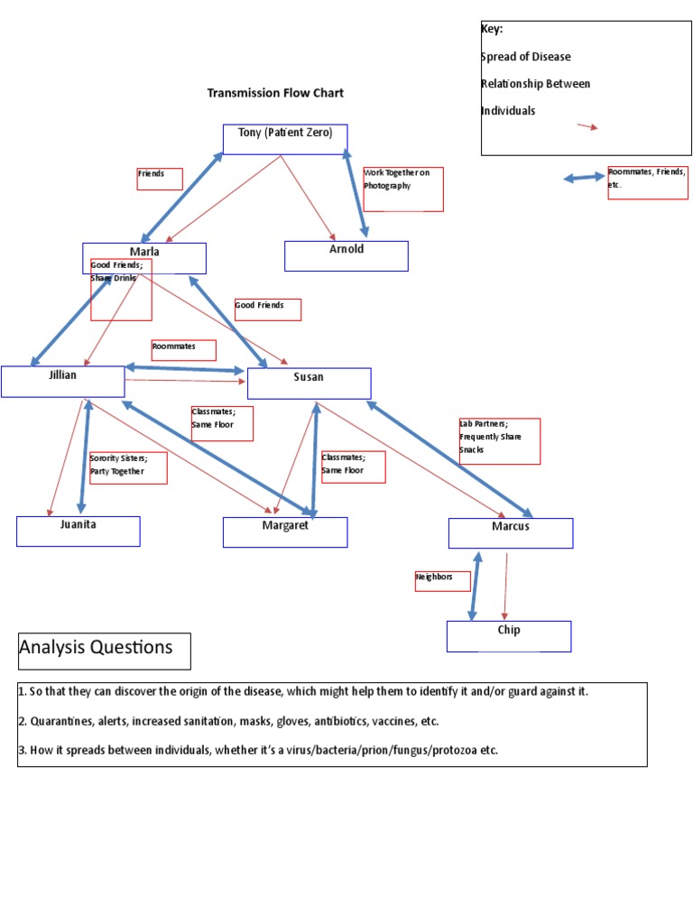 Analysis Questions: Transmission Flow Chart | PDF | Public Health ...