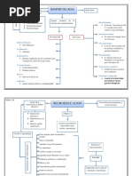 Trabajo 1 Mapa Conceptual | PDF | Neurociencia conductual | Evaluación neuropsicológica