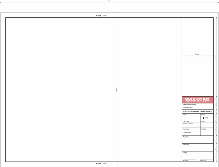 Formato Lamina A1 Conocimientos Transversales | PDF