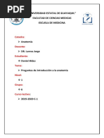 Términos de Lateralidad en Anatomía | PDF | Términos anatómicos de ...