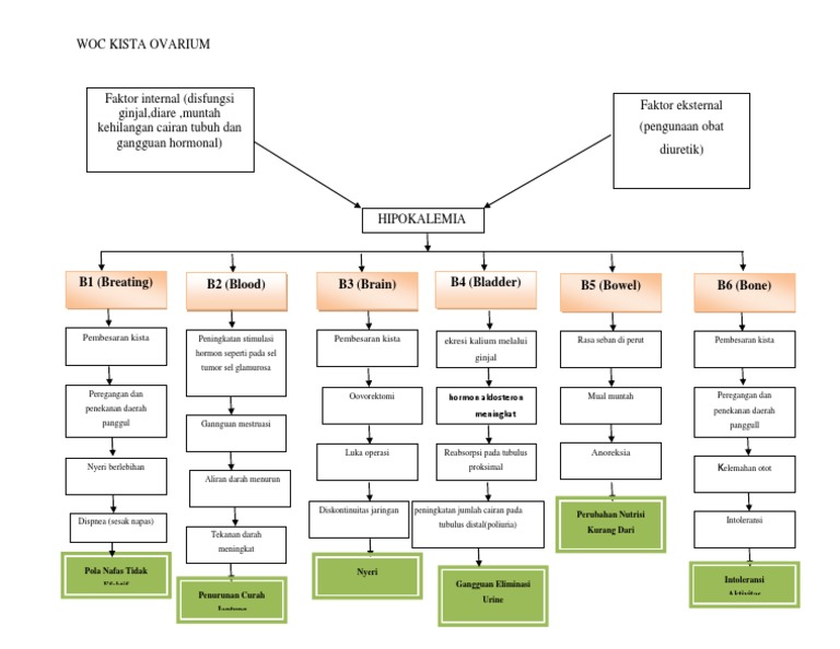 Woc Kista Ovarium | PDF