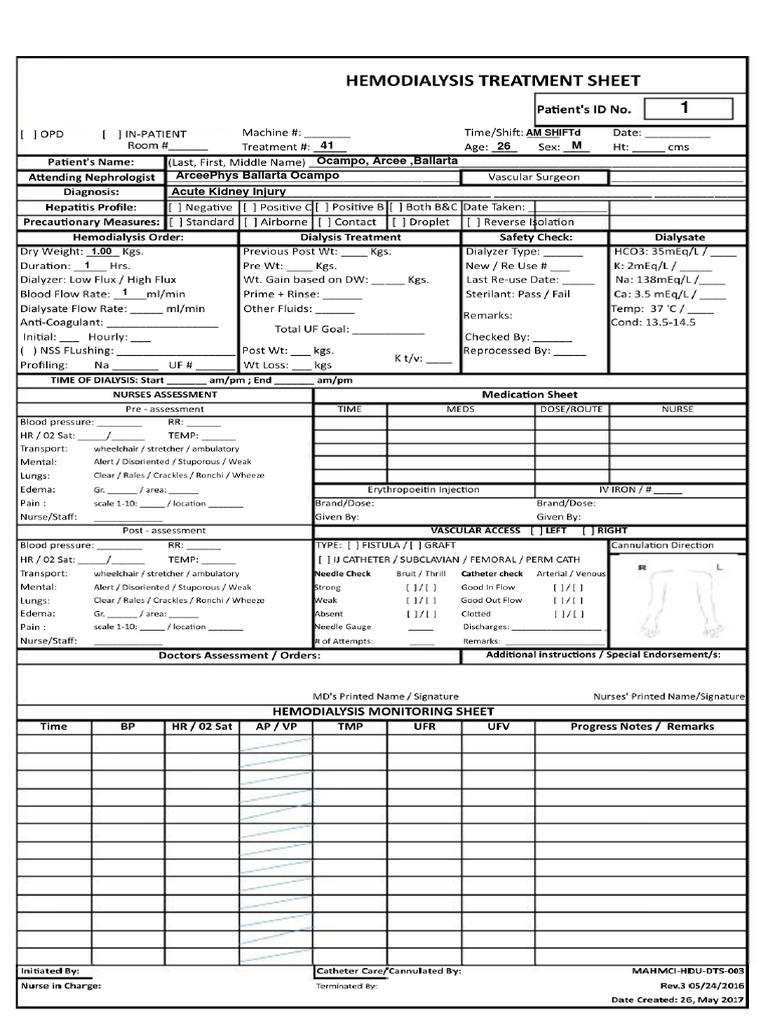 Treatment Sheet Report | PDF