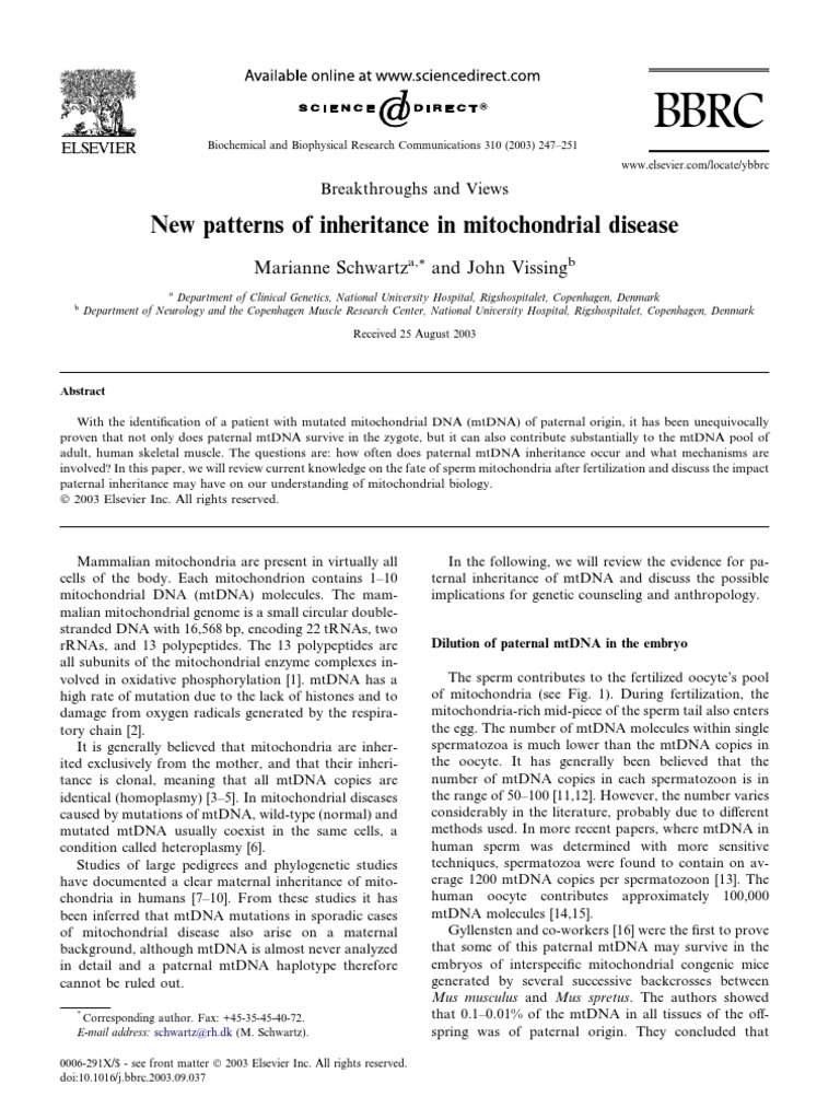 Paternal Inheritance of Mitochondrial DNA | PDF | Mitochondrial Dna ...