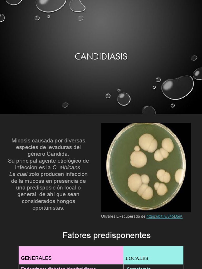 Candidiasis | Candidiasis | Inmunología