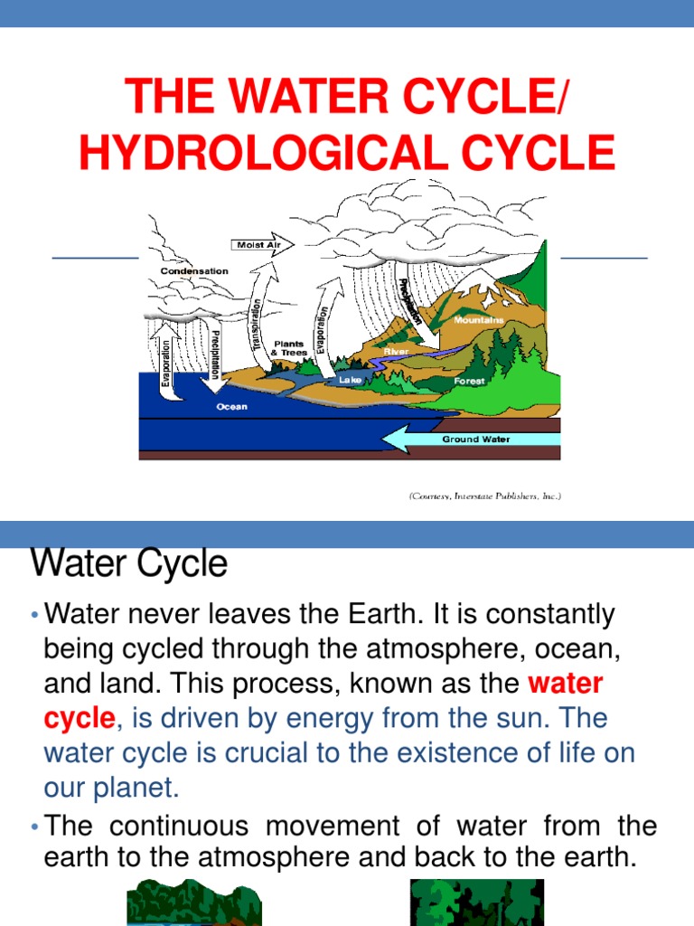 5.2 The Water Cycle (Hydrological Cycle) (T13) | PDF