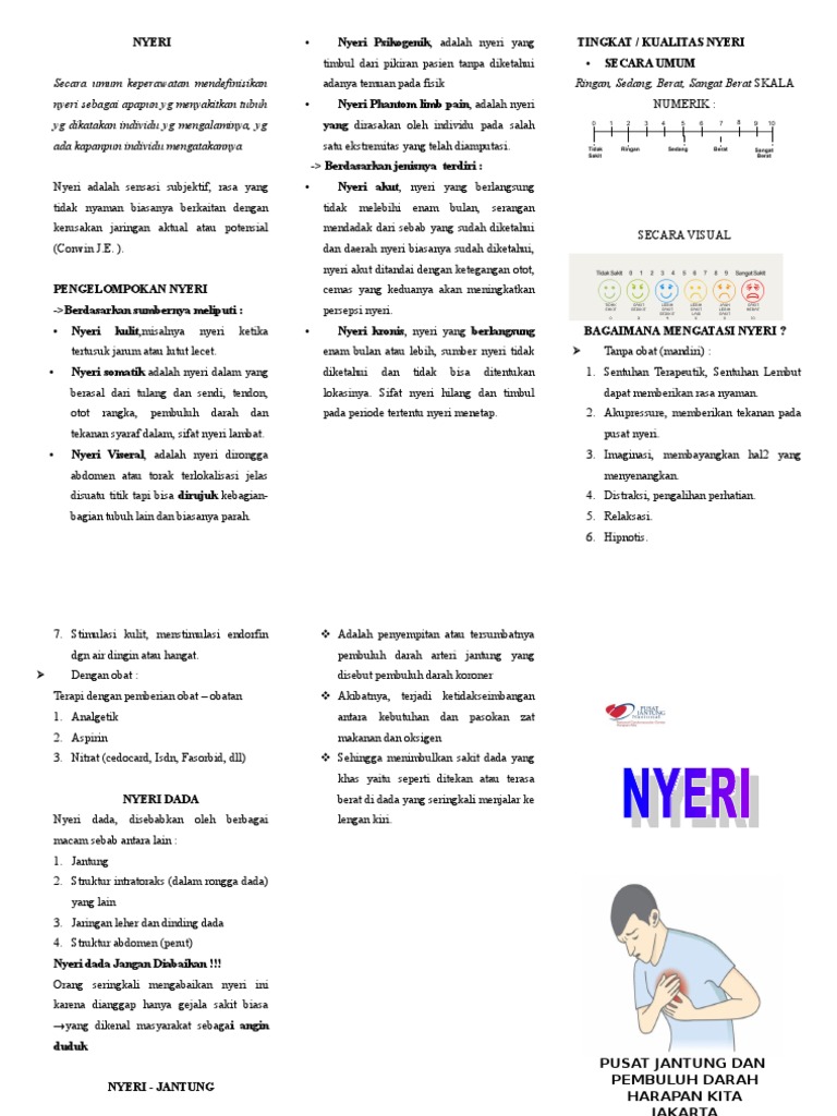 Leaflet Nyeri | PDF