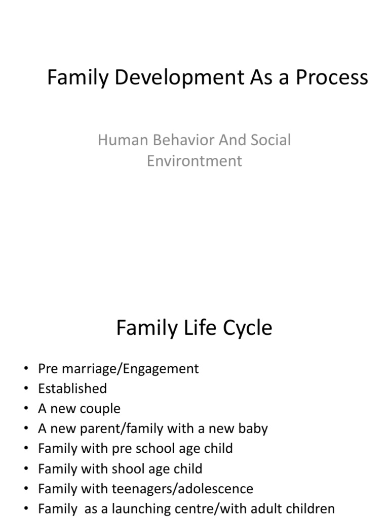 Family Development As A Process | PDF | Adolescence | Parent