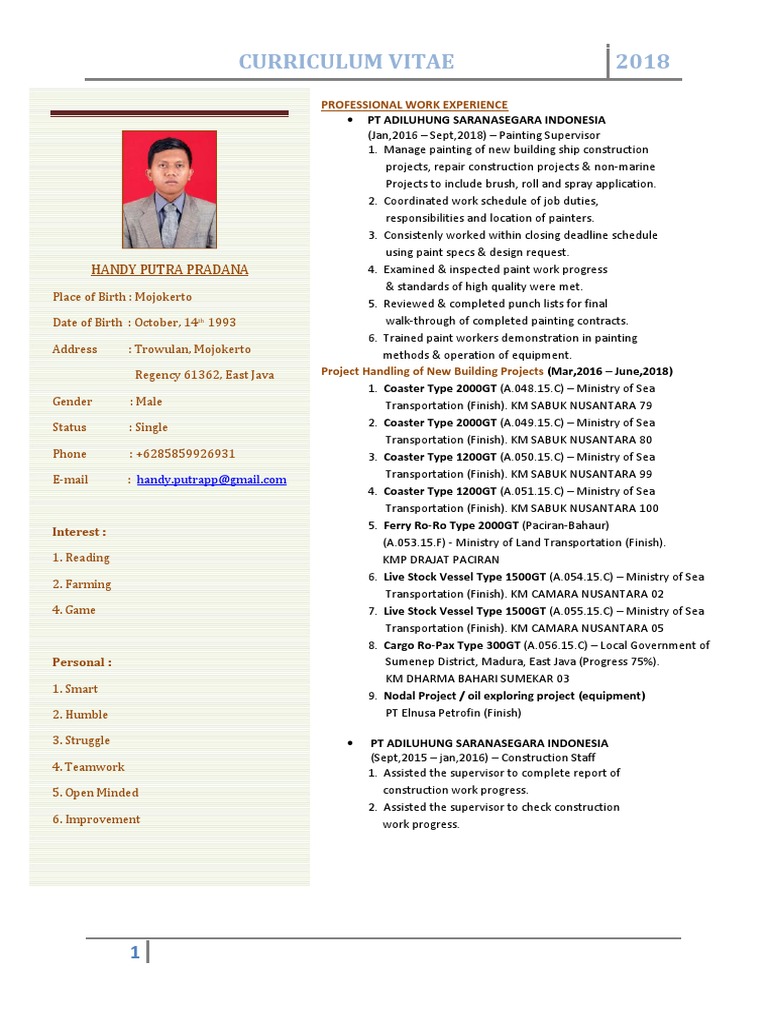 Cv-Handy Putra Pradana PDF | PDF