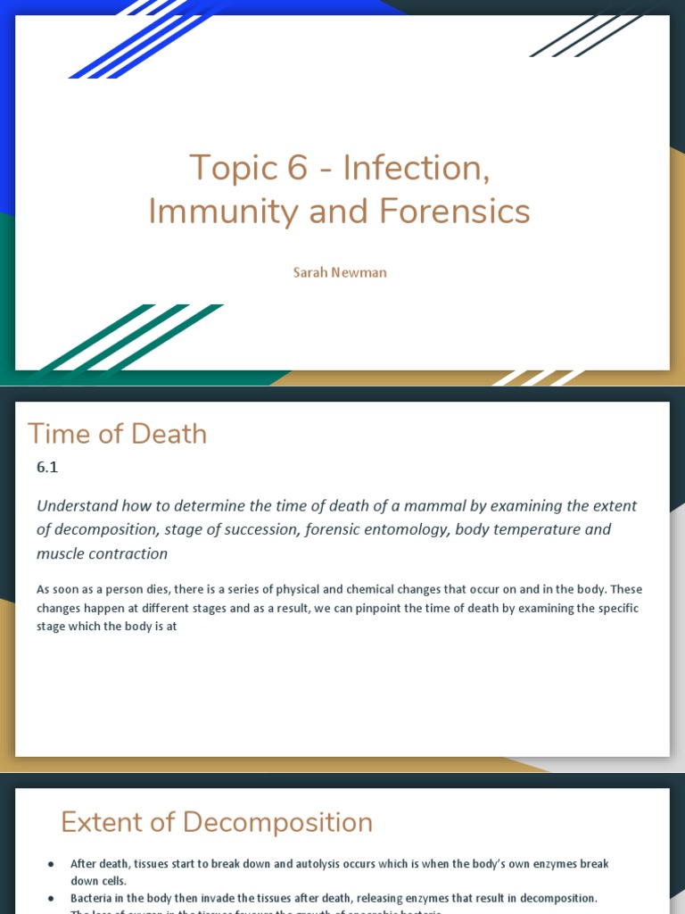 Structure of A Chloroplast | PDF | Phagocyte | Immune System