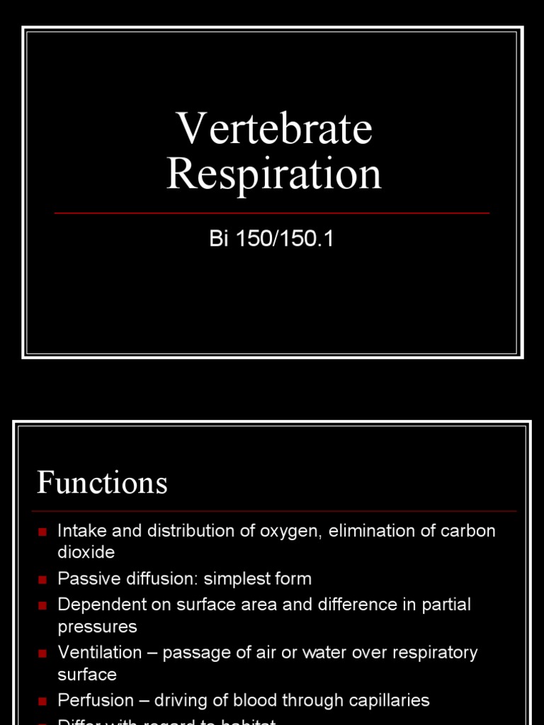 Vertebrate Respiration | PDF | Respiratory System | Breathing