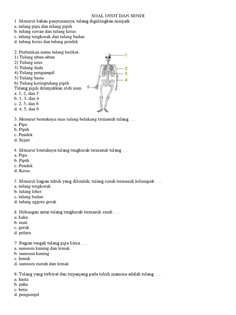Soal Otot Dan Sendi 1 | PDF