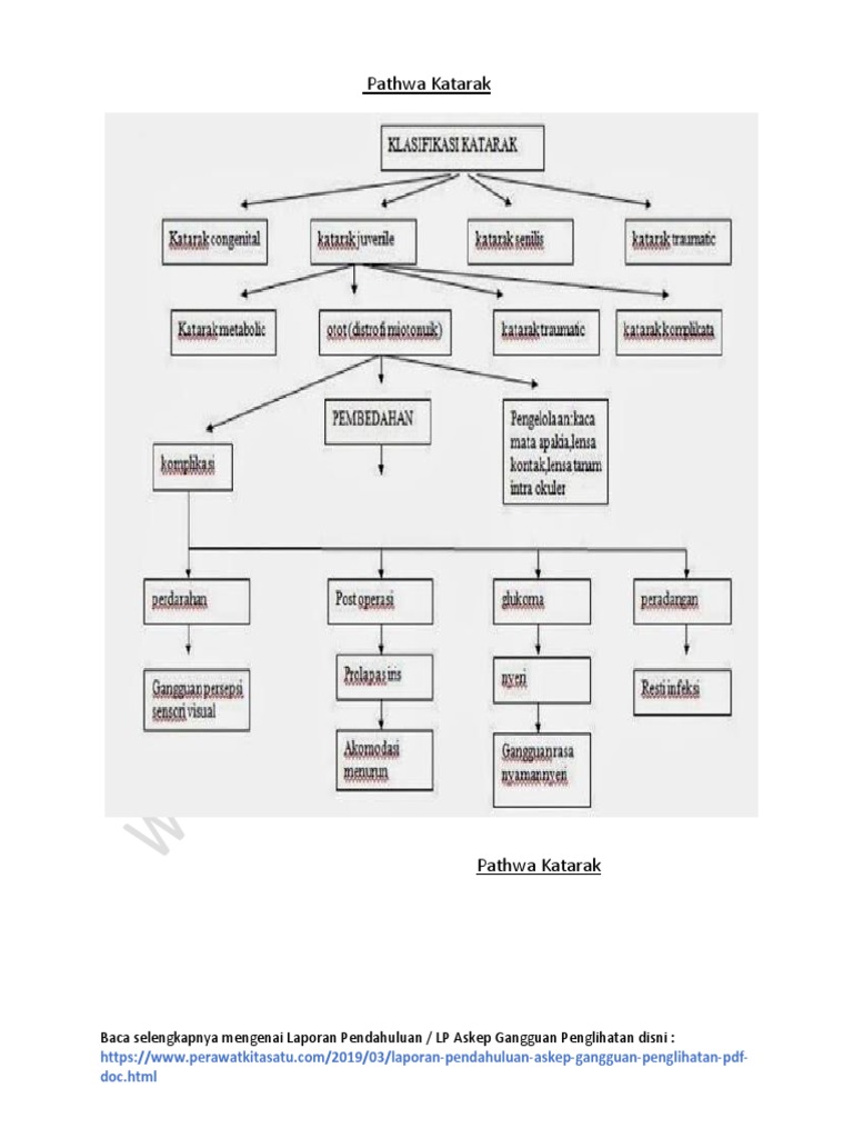 Pathway Katarak | PDF